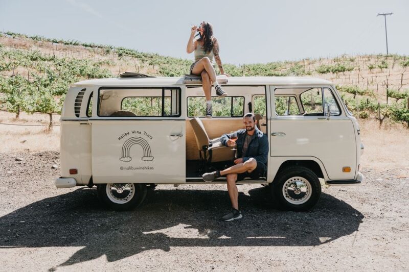 Los Angeles: Private Vintage VW Bus Tour in Malibu - Who Will Love This Tour?