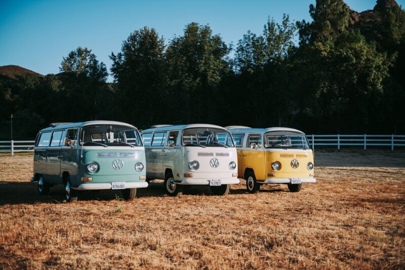 Los Angeles: Private Vintage VW Bus Tour in Malibu - The Bottom Line