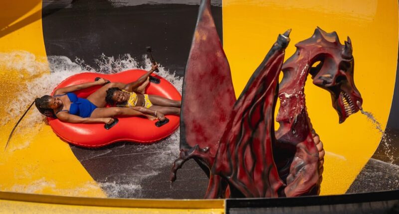 Los Angeles: Raging Waters Admission Ticket - Attractions and Highlights