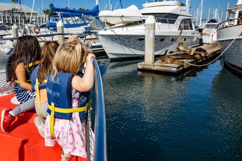 Los Angeles: Redondo Beach Glass Bottom Boat Cruise - Exploring the Redondo Beach Glass Bottom Boat Cruise: An In-Depth Review