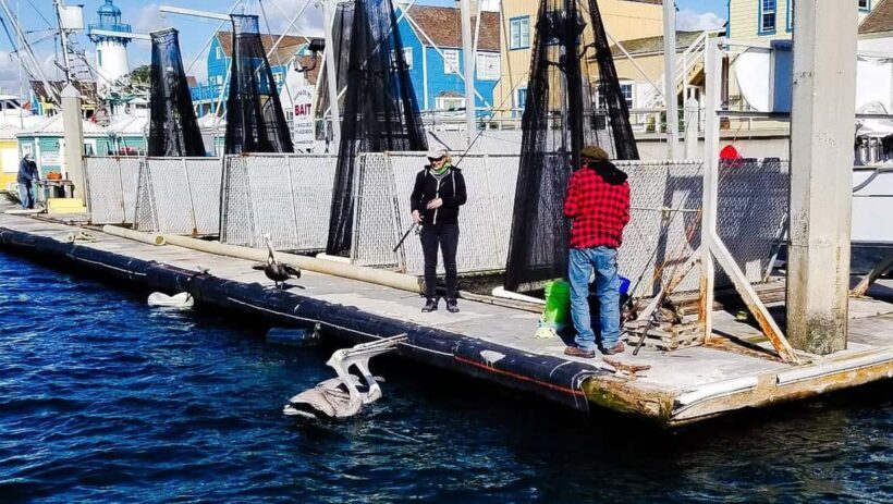 Los Angeles: Sunset Sailing - FAQ