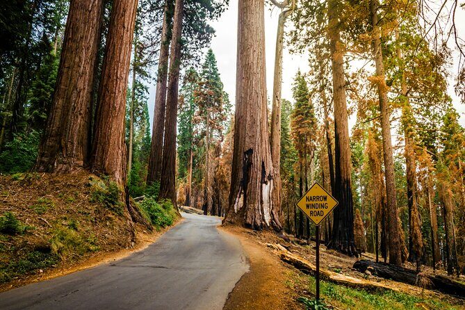 Los Angeles to San Francisco: California Parks Highlights Tour - Day-by-Day Breakdown