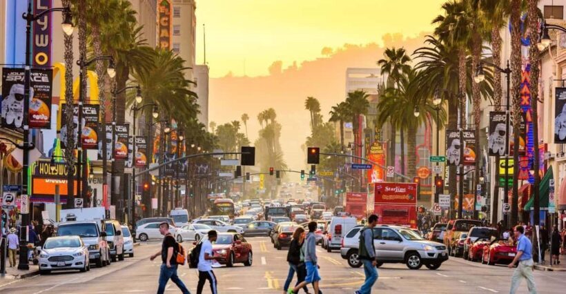 Los Angles: Private Customized Day Tour with Driver - The Experience in Detail