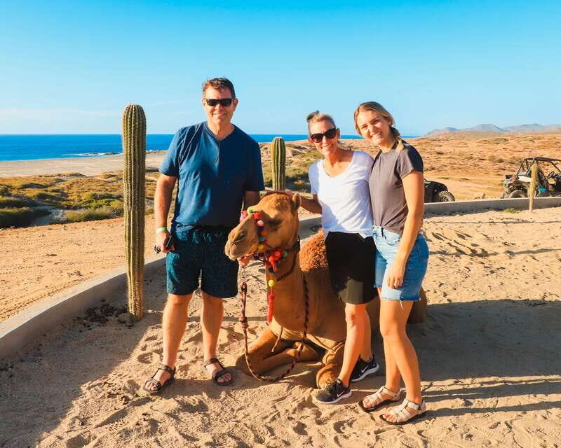 Los Cabos: 2 in 1 Combo Tour - Introducing the Experience