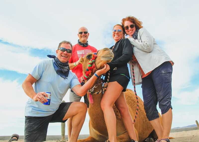 Los Cabos: 2 in 1 Combo Tour - Pricing and Value