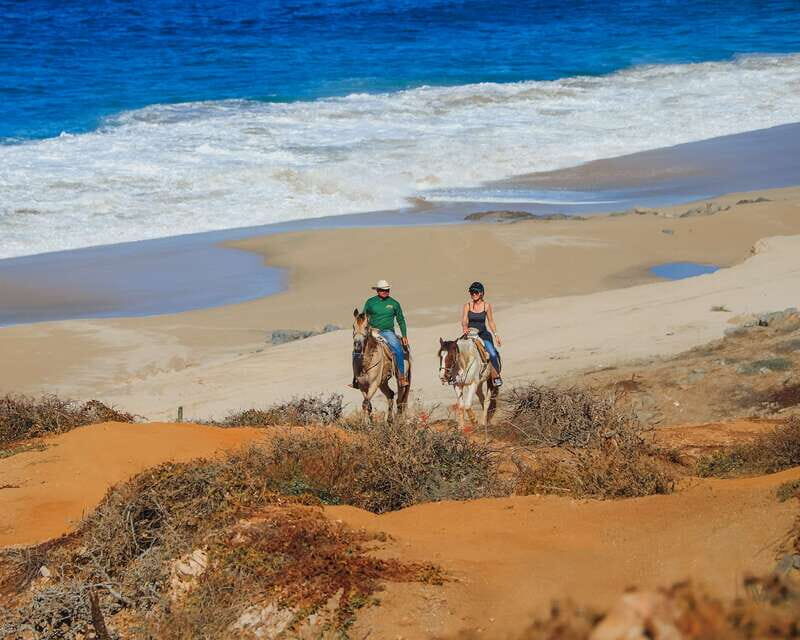 Los Cabos: 2 in 1 Combo Tour - Final Thoughts – Is It Worth It?