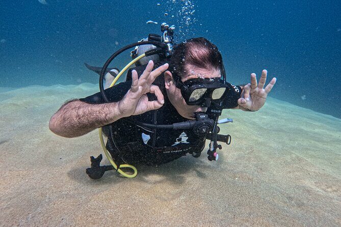Los Cabos 2 tanks dive to The Corridor (Certified divers) - Exploring Cabo San Lucas Underwater Treasures