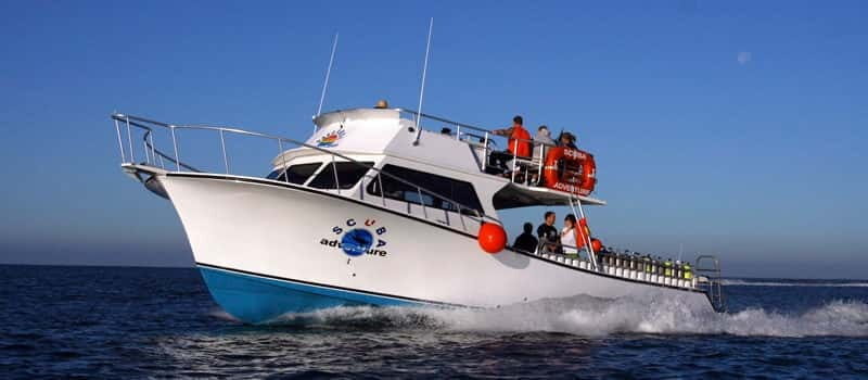 Los Cabos: 3-Hour Introductory Scuba Diving Adventure - Exploring the 3-Hour Introductory Scuba Diving Adventure in Los Cabos