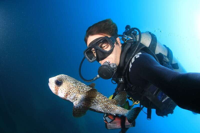 Los Cabos: 3-Hour Introductory Scuba Diving Adventure - Safety and Suitability
