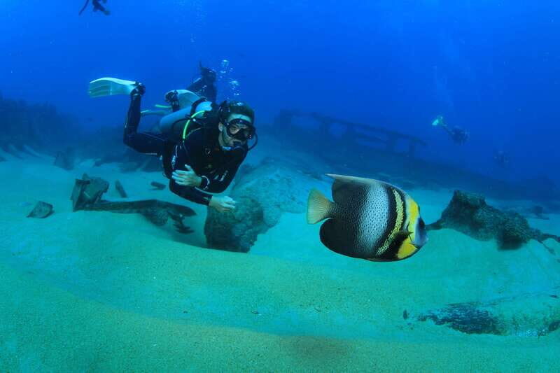 Los Cabos: 3-Hour Introductory Scuba Diving Adventure - Authentic Insights from Past Participants