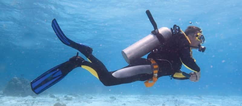 Los Cabos: 3-Hour Introductory Scuba Diving Adventure - Final Review and Recommendations