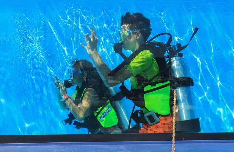 Los Cabos: 3-Hour Introductory Scuba Diving Adventure - Frequently Asked Questions