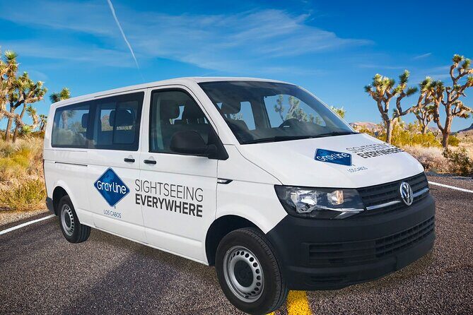 Los Cabos Airport One Way Shuttle Only Arrival - The Sum Up: Who Should Use This Shuttle?