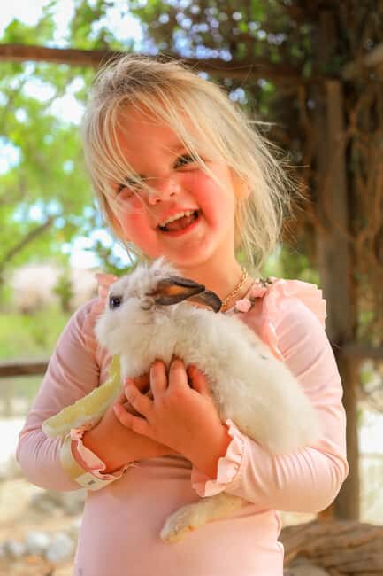 Los Cabos: Animal Encounter & Aqua Park Adventure - What to Expect at Wild Canyon’s Animal Encounter & Aqua Park