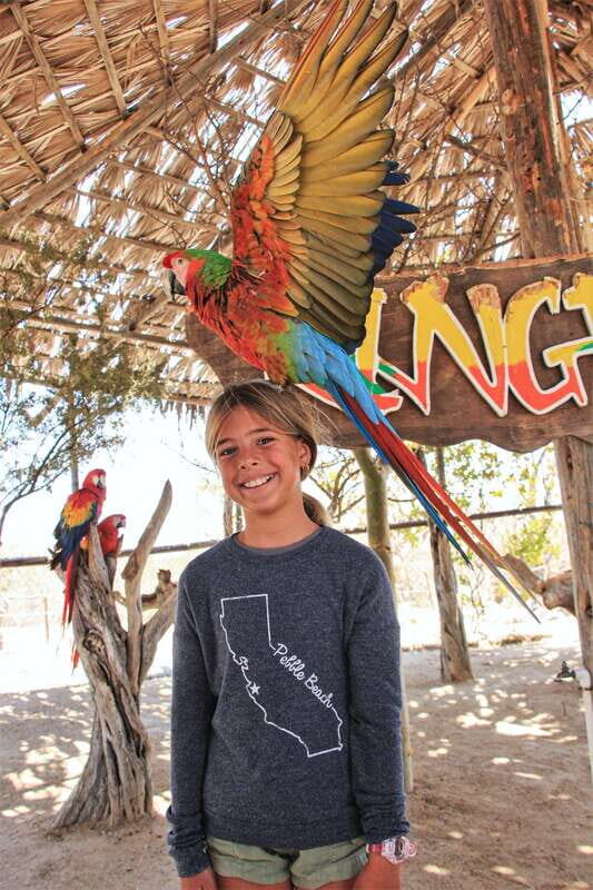 Los Cabos: Animal Encounter & Aqua Park Adventure - The Experience in Practice