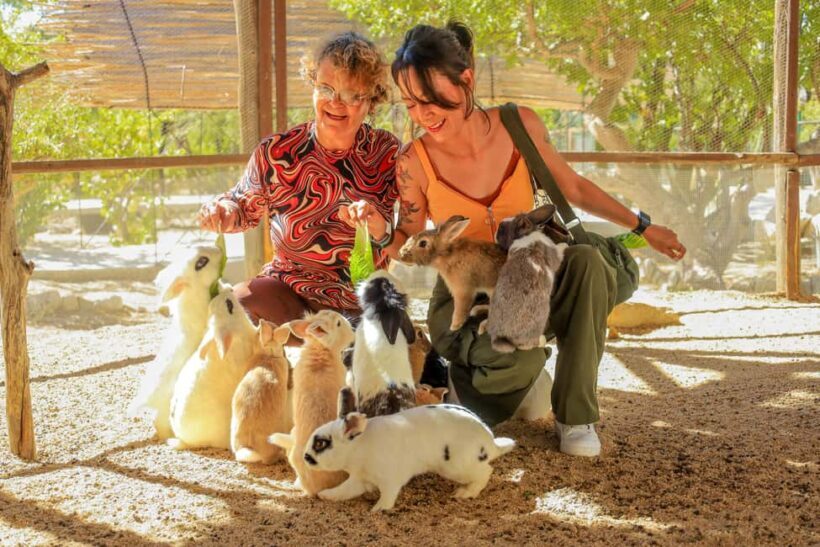 Los Cabos: Animal Encounter & Aqua Park Adventure - Who Is This Tour Best For?