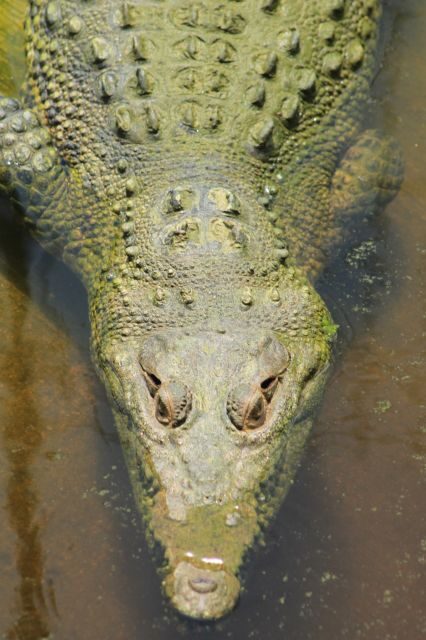 Los Cabos: Animal Encounter & Aqua Park Adventure - The Sum Up