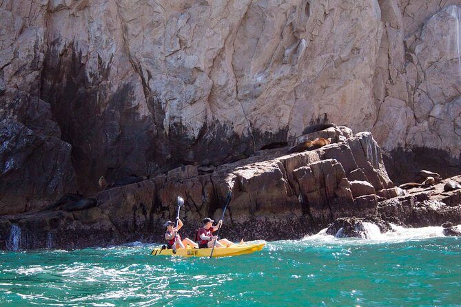 Los Cabos Arch and Playa del Amor Tour by Glass Bottom Kayak - FAQs