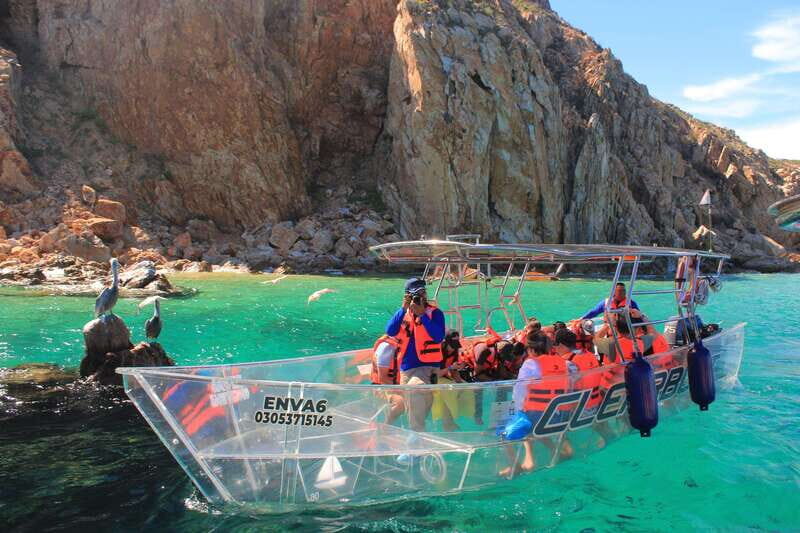 Los Cabos Arch & PelicanRock Cabo San Lucas CrystalBoat Tour - The Practical Value