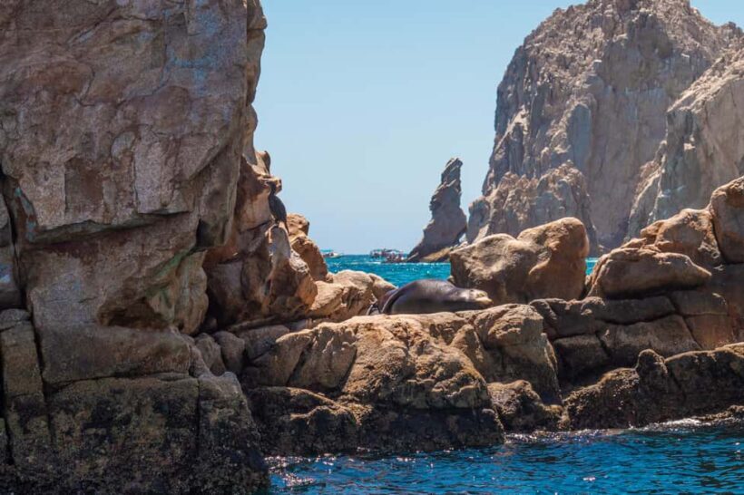 los cabos arch tour & drinks +snorkel tour - Analyzing Value and Practical Aspects