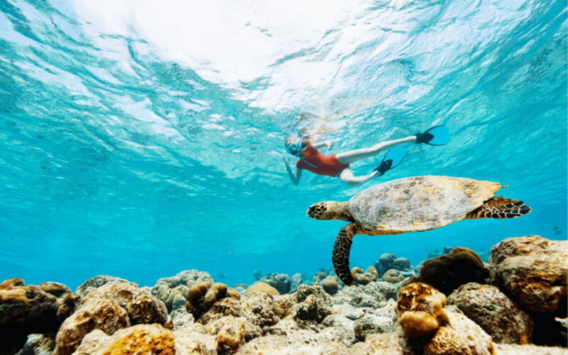 los cabos arch tour & drinks +snorkel tour - Final Thoughts