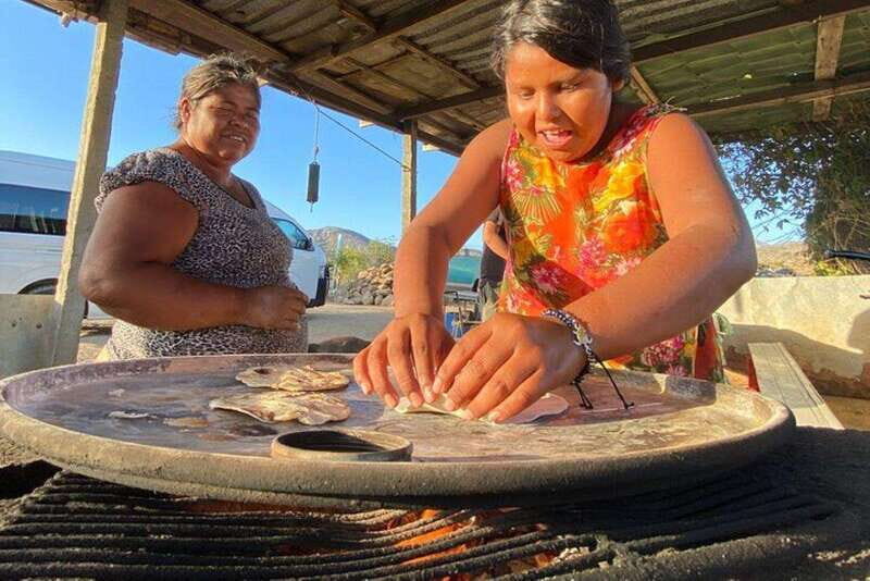 Los Cabos: Azteca Cactus Taco Farm to Table Cooking Class - Introduction