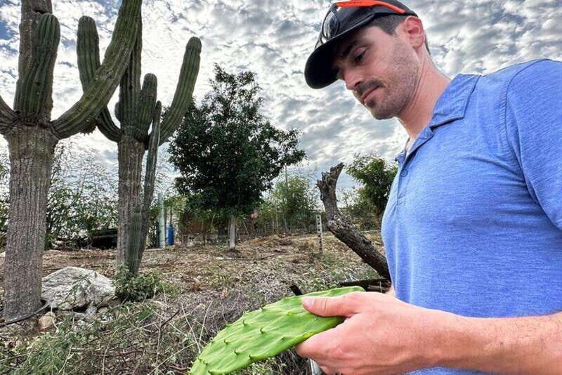 Los Cabos: Azteca Cactus Taco Farm to Table Cooking Class - Who Should Consider This Tour?