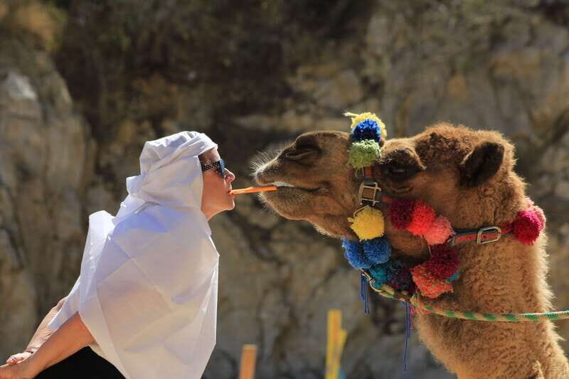 Los Cabos: Camel Ride in the Canyon & Thrilling Water-Slides - What to Know Before You Go