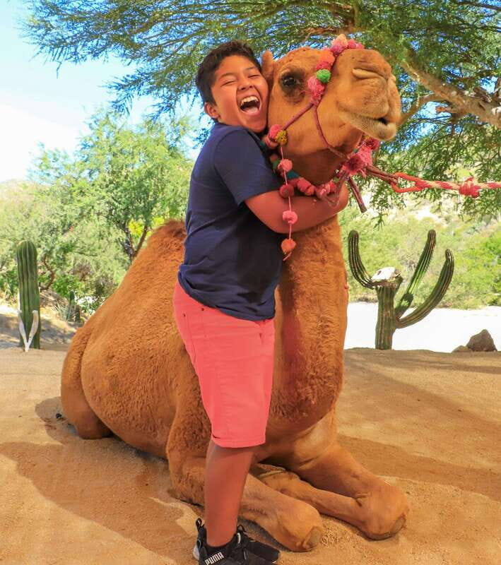 Los Cabos: Camel Ride in the Canyon & Thrilling Water-Slides - Who Will Appreciate This Tour?