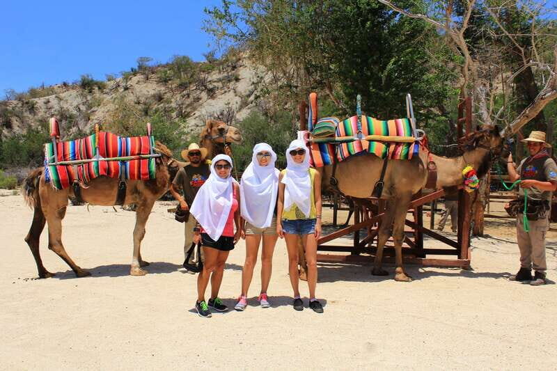 Los Cabos: Camel Ride in the Canyon & Thrilling Water-Slides - The Sum Up