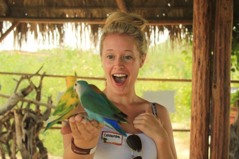 Los Cabos: Camel Ride in the Canyon & Thrilling Water-Slides - FAQ