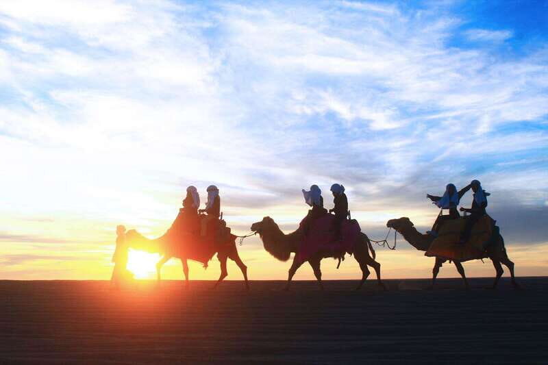 Los Cabos: Camel Ride Safari with Lunch and Tequila Tasting - Starting Out: Pickup and Introduction