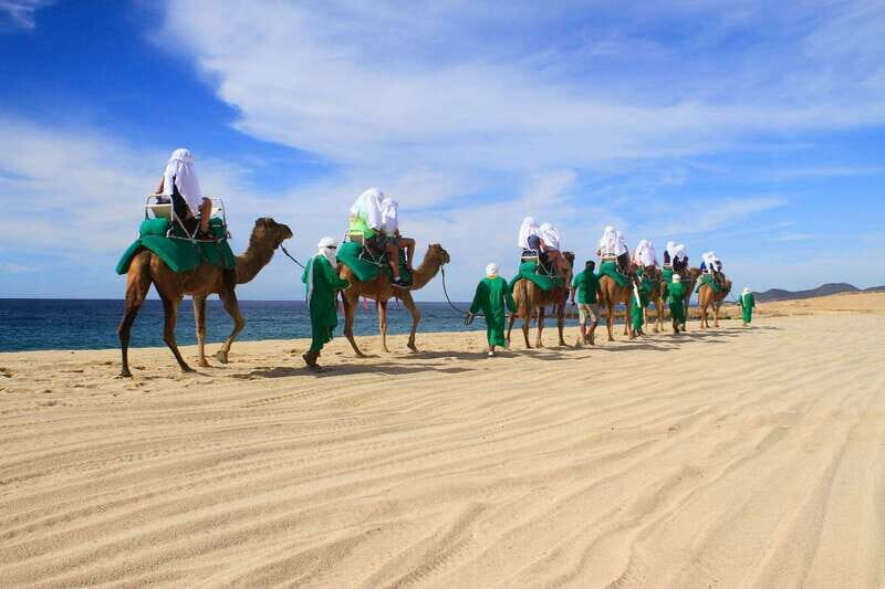 Los Cabos: Camel Ride Safari with Lunch and Tequila Tasting - Lunch: Authentic Mexican Flavors