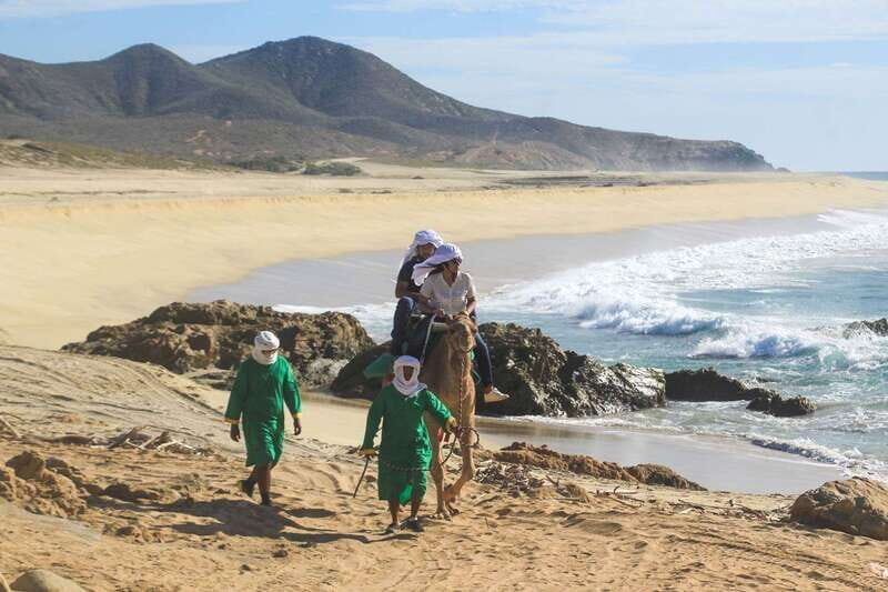 Los Cabos: Camel Ride Safari with Lunch and Tequila Tasting - Tequila Tasting: A Cultural Highlight