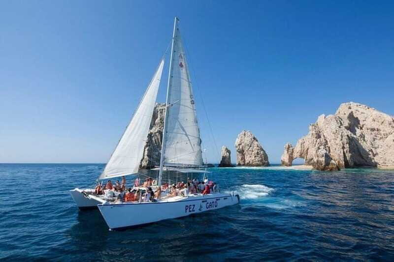 Los Cabos: Catamaran Whale Watching Cruise - FAQs