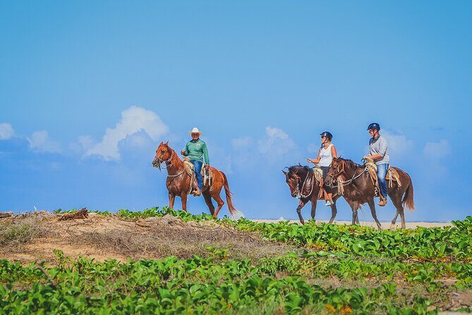 Los Cabos Combo: ATV + Horseback Riding - Final Thoughts: Is It Worth It?