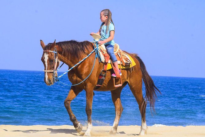 Los Cabos - COMBO Horseback Riding & ATV Tour - The Horseback Ride: Calm Beachside Serenity