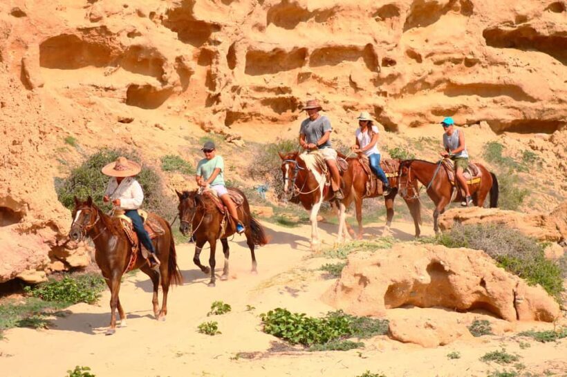 Los Cabos: Combo: Razor, Horseback or atv with transfer - What Reviewers Say