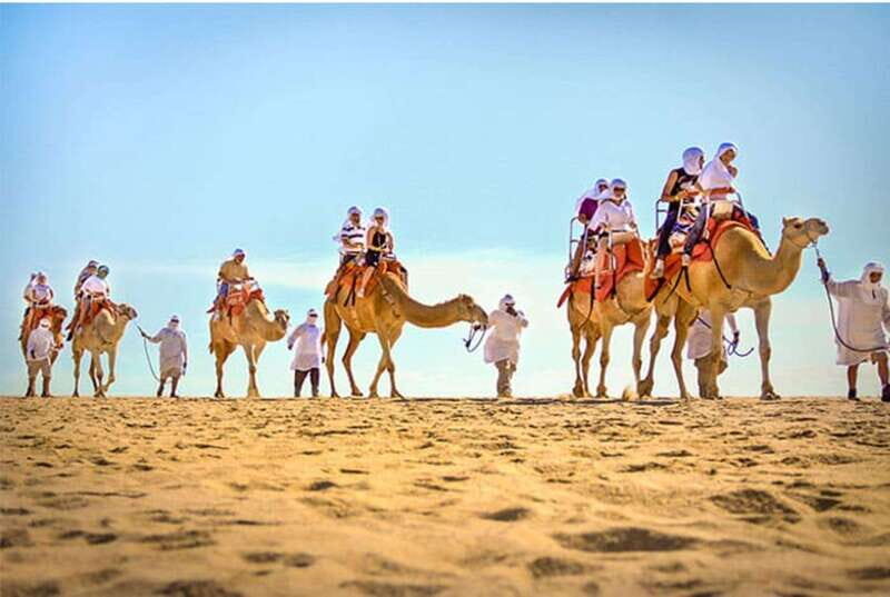 Los Cabos: Desert & Sea Camel Safari Tour with Lunch - Key Points