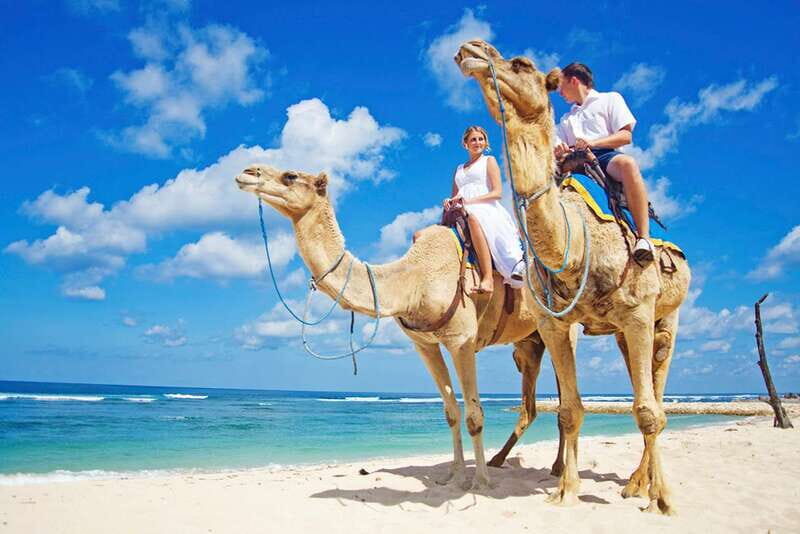 Los Cabos: Desert & Sea Camel Safari Tour with Lunch - What Other Travelers Say