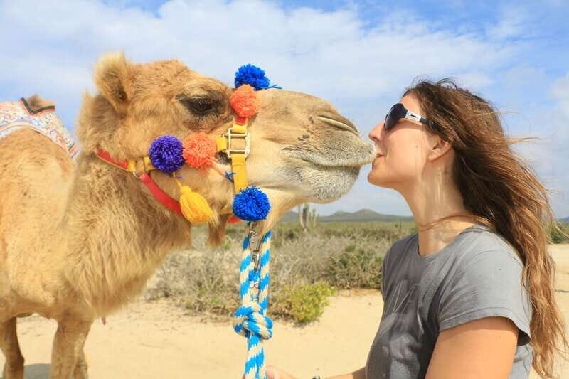 Los Cabos: Desert & Sea Camel Safari Tour with Lunch - Who Will Love This Tour?