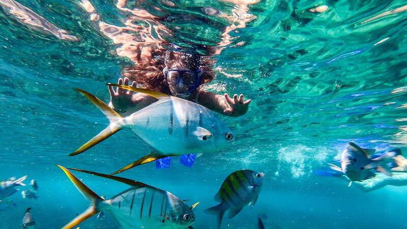 Los Cabos: El Arco, Chileno Beach, and Tequila Tasting Tour - Key Points