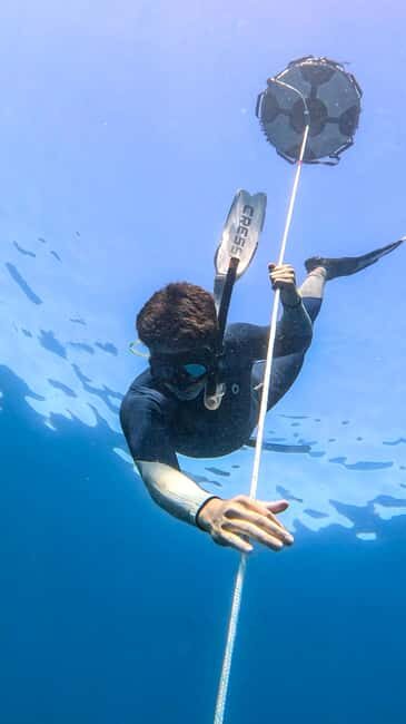 Los Cabos: freediving sessions - What Is Freediving and Why Is It Special?