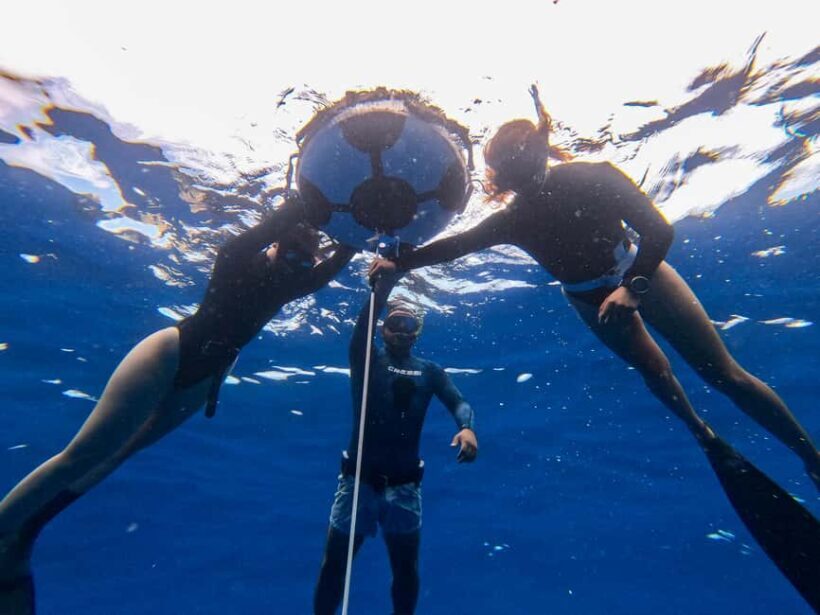 Los Cabos: freediving sessions - Who Will Love This Experience?