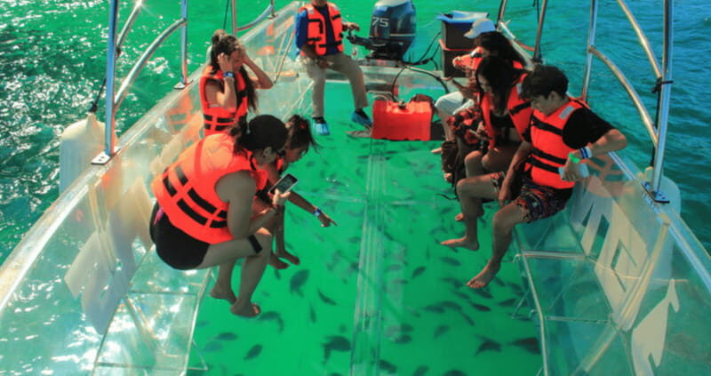 Los Cabos: Get to know the arch on the iconic transparent boat tour - Final Thoughts: Who Will Enjoy This Tour?