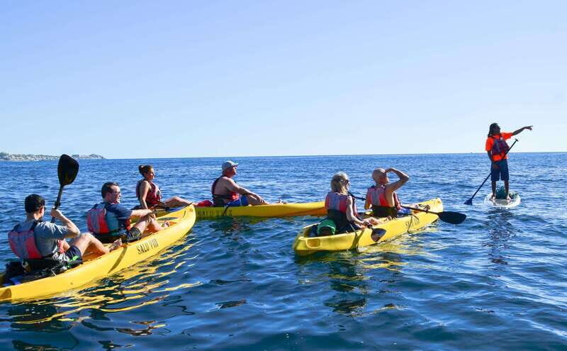 Los Cabos: Glass Bottom Kayak and Snorkel Tour at the Arch - Authentic Insights from Others’ Experiences