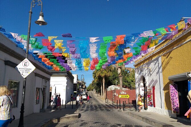 Los Cabos Half-Day Tour Discovering San Jose and San Lucas - Food, Drinks, and Local Flavors