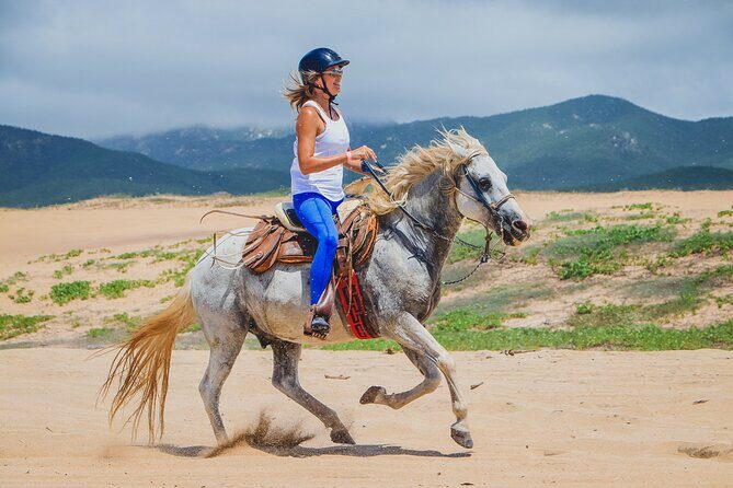 Los Cabos Horseback Riding - Guides and Service Quality