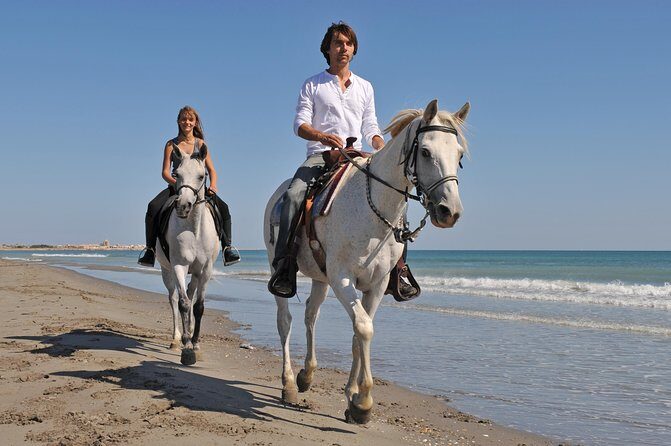 Los Cabos Horseback Riding - Group Size and Comfort