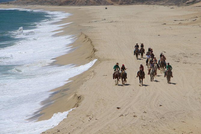 Los Cabos Horseback Riding - Price and Value